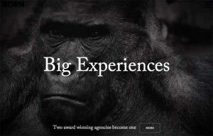 Born Group - Unmatched Style