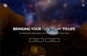 The Pixelage - Unmatched Style