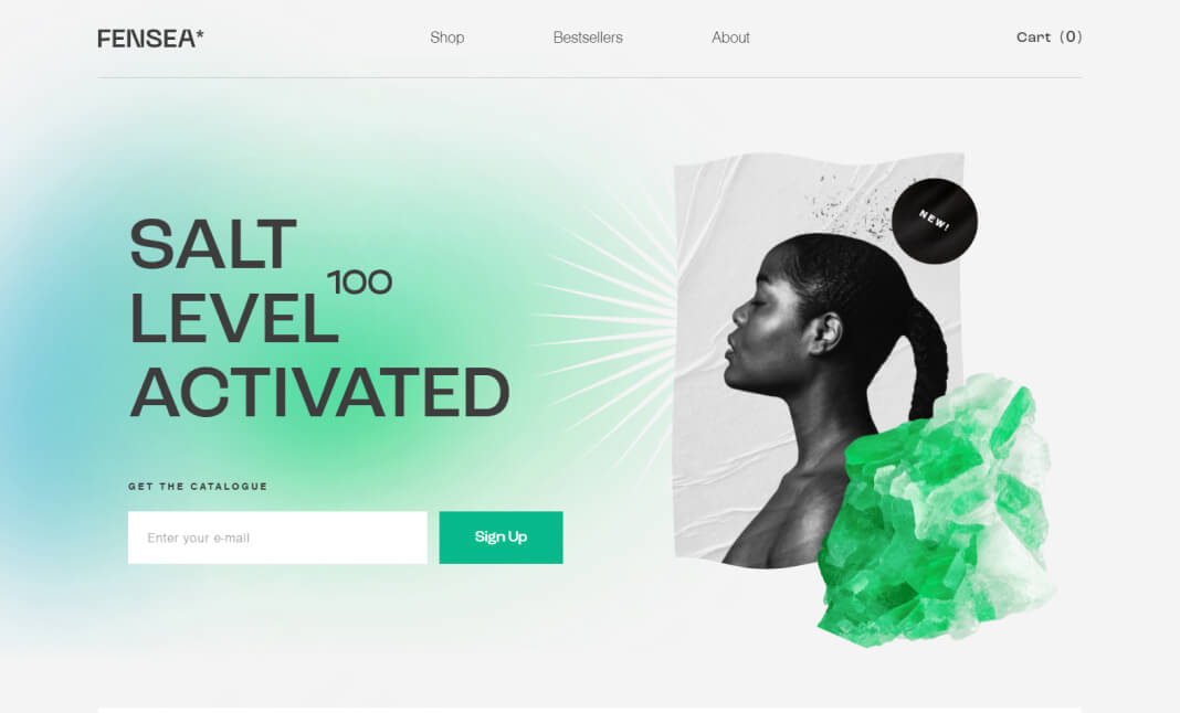 Fensea - Unmatched Style